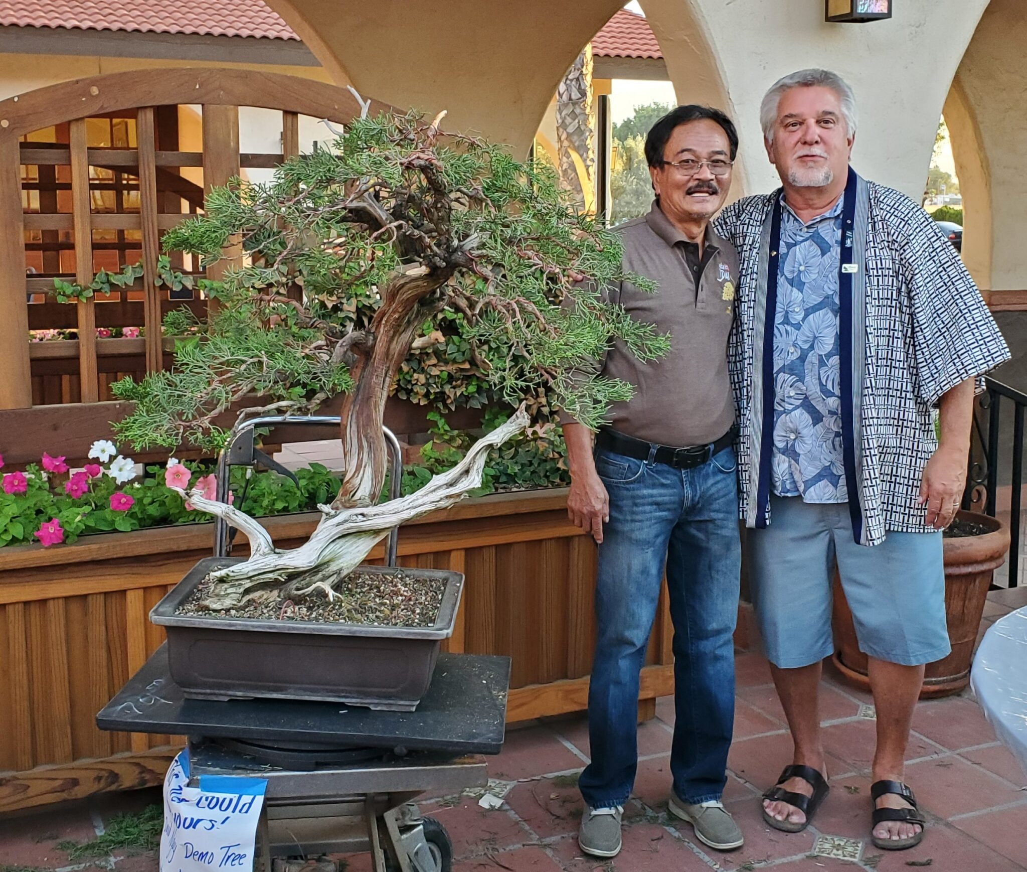 Santa Anita Bonsai Society | A community dedicated to the study and ...